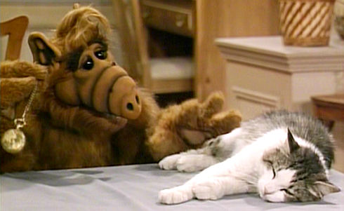 ALF Returns: The 80s live on and on … – SparklyPrettyBriiiight