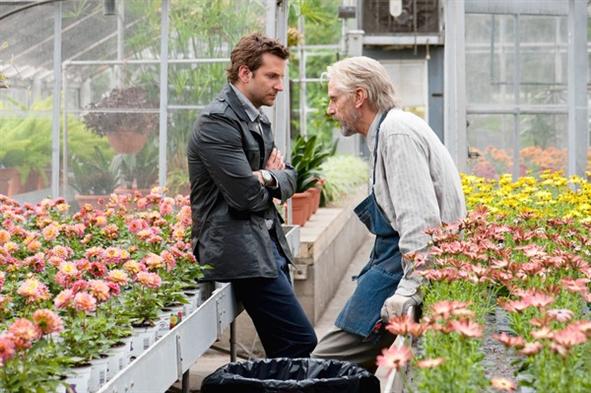 Movie review: “The Words” – SparklyPrettyBriiiight