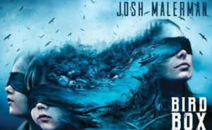 Movie review: Bird Box – SparklyPrettyBriiiight