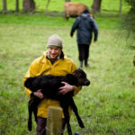 Movie review: Bellbird – SparklyPrettyBriiiight