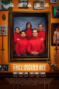 Movie review: A Nice Indian Boy – SparklyPrettyBriiiight